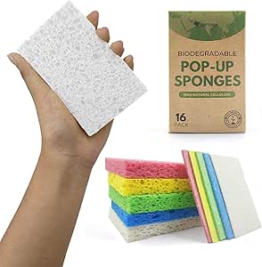 Amazon.com: AIRNEX Biodegradable Cellulose Compressed Sponges - Pack of ...