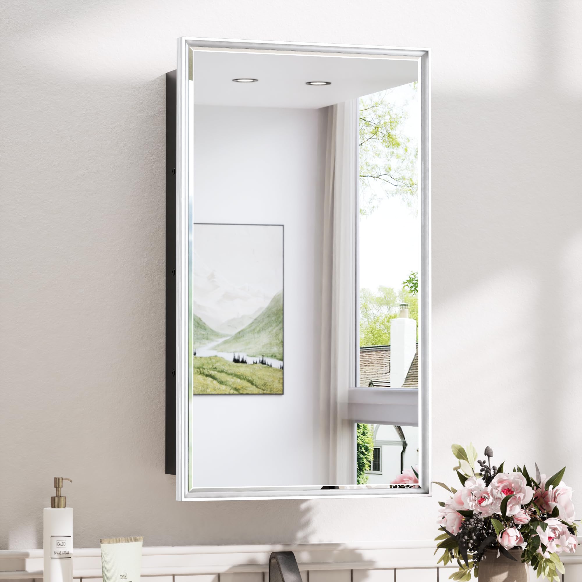 TokeShimi 14x24 Recessed Medicine Cabinet with Mirror Surface Mount ...