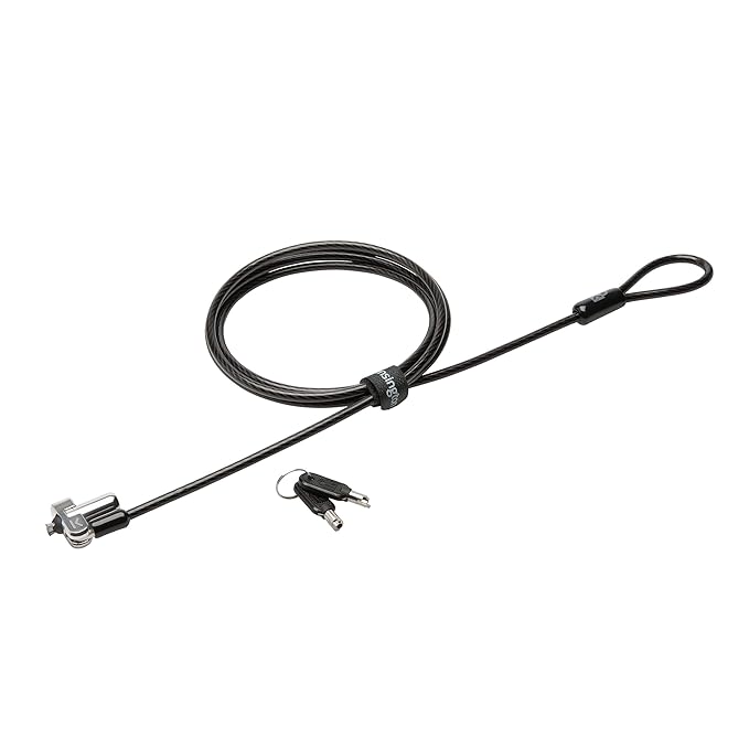 Kensington N17 Keyed Laptop Lock for Dell Devices, Black and Silver ...