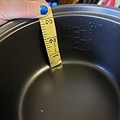 Salton RC1653 Automatic Rice Cooker, Stainless Steel: Amazon.ca: Home ...