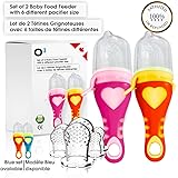 NatureBond Baby Food Feeder/Fruit Feeder Pacifier (2 Pack) - Infant ...