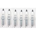 Champion 9407 RER8ZWYCB4 Iridium Spark Plug Pack Of 6, Spark Plugs ...