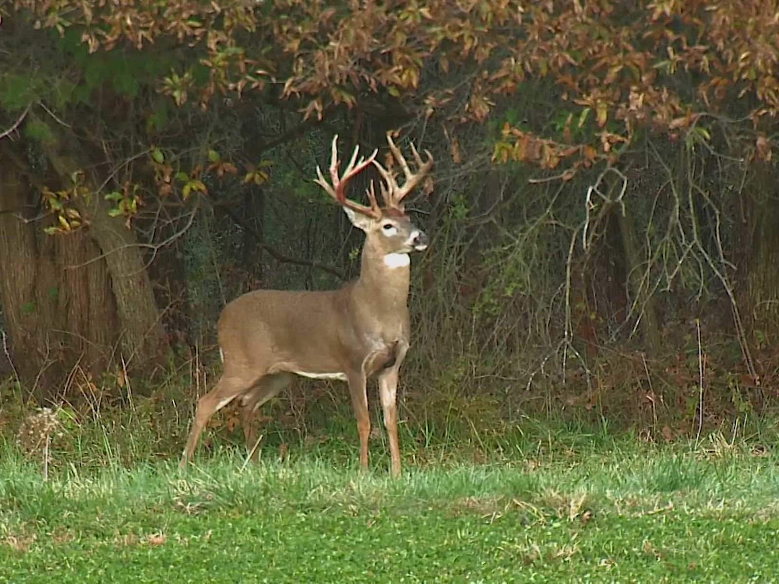 Watch Hunt Masters - Season 3 | Prime Video