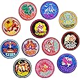 Amazon.com: 12pcs Embroidered Cloth Patches Iron-on or Sew-on ...