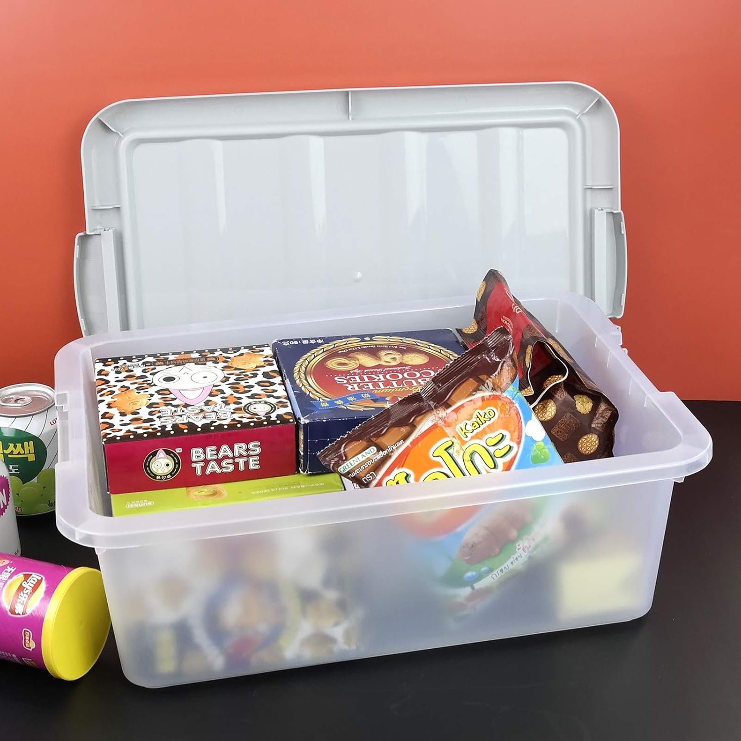 Jandson Frosted Clear Plastic Boxes with Buckle, 14 Liter Storage Boxes ...