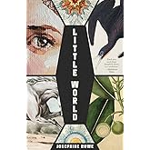 Amazon.com: Little World: 9798893380163: Rowe, Josephine: Books