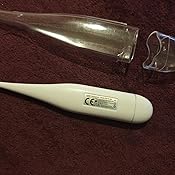 Femometer Digital Basal Body Thermometer -Fertility Monitor with Smart ...