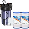 Amazon.com: PUREPLUS Whole House Water Filter, 10"x4.5" Universal ...