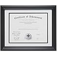 Lawrence Frames Dual Use 11 by 14-Inch Certificate Picture Frame with Double Bevel Cut Matting ...