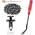 Amazon.com: GOOACC GRC-44 100PCS Nylon Bumper Rivet Clips for GM ...