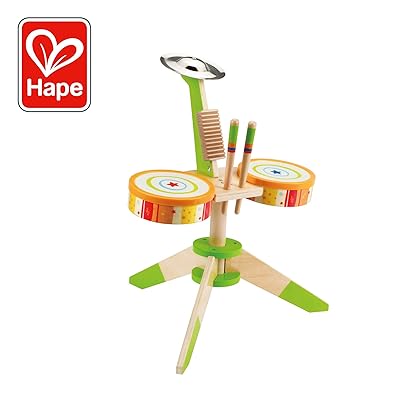 Buy Award Winning Hape Rock and Rhythm Kids Musical Instruments Wooden ...