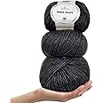 Amazon.com: KnitPal Ombré-Encore Chunky Ombre Yarn for Crocheting, 100% ...