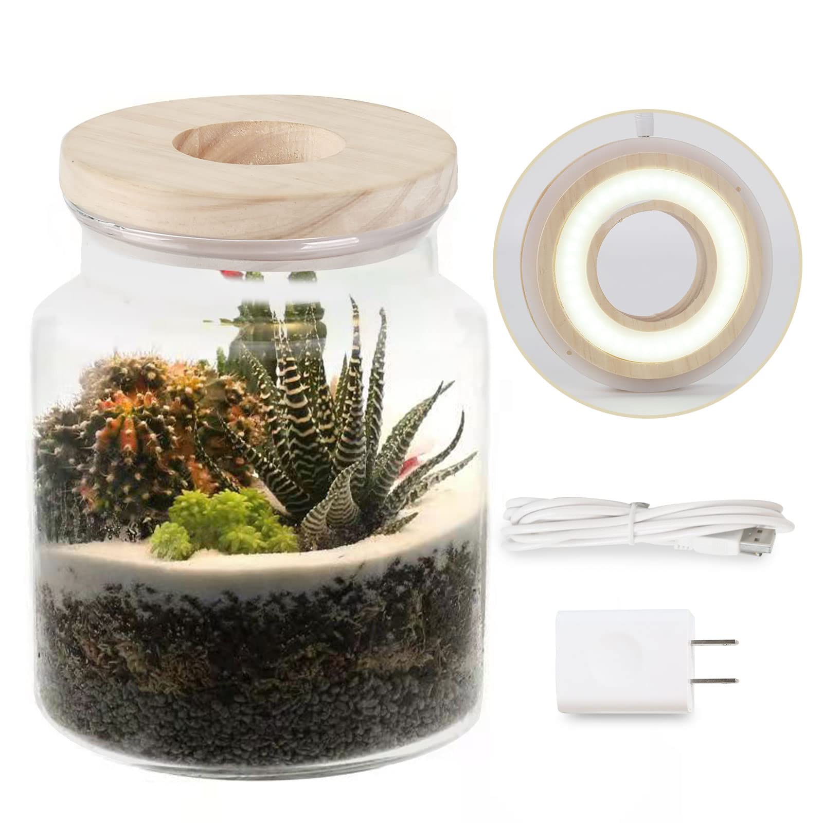 LECANI Plant Propagation Station with LED Plant Light and Wooden Lid, 5 ...