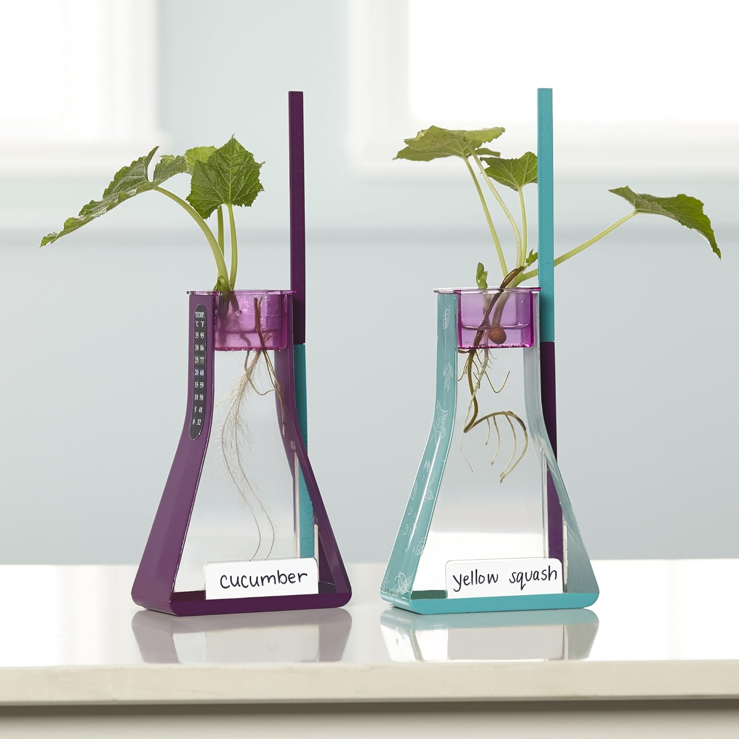 Engaging Spring Science Experiments For Preschoolers engaging-spring-science-experiments-for-preschoolers