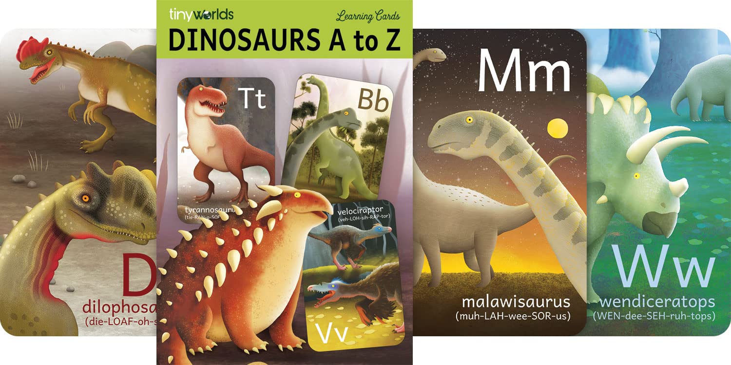 Mua Dinosaur ABC Flash Cards, Alphabet A to Z Dinosaurs flashcards for ...