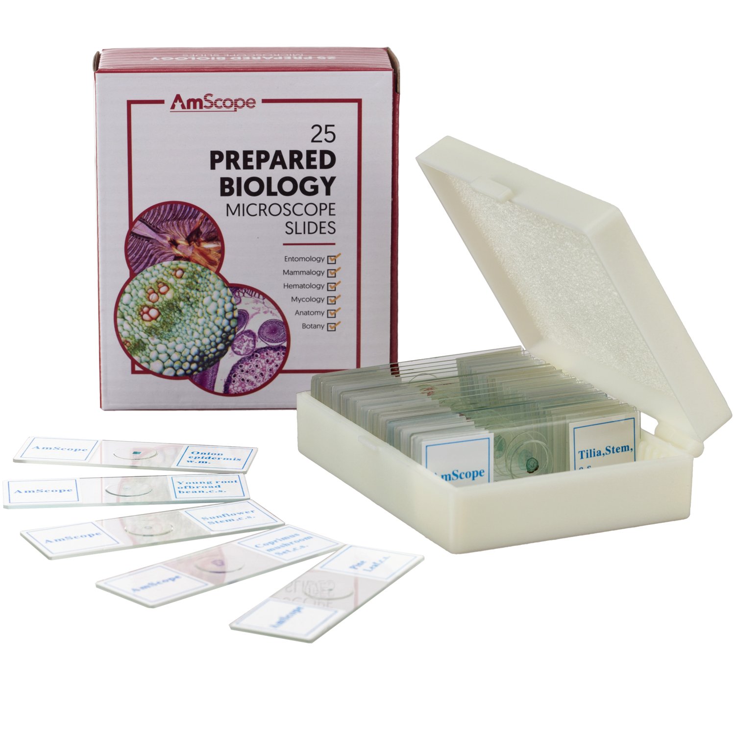AmScope PS25P Prepared Microscope Slide Set for Basic Biological ...