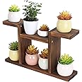 Amazon.com: COOGOU Wood Desktop Plant Stand Indoor - Windowsill Plant ...