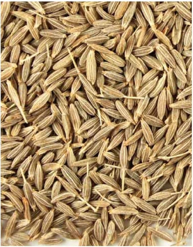 Amazon.com : SD1603 White Cumin Herb Seeds, Cuminum Cyminum Herb Plant ...
