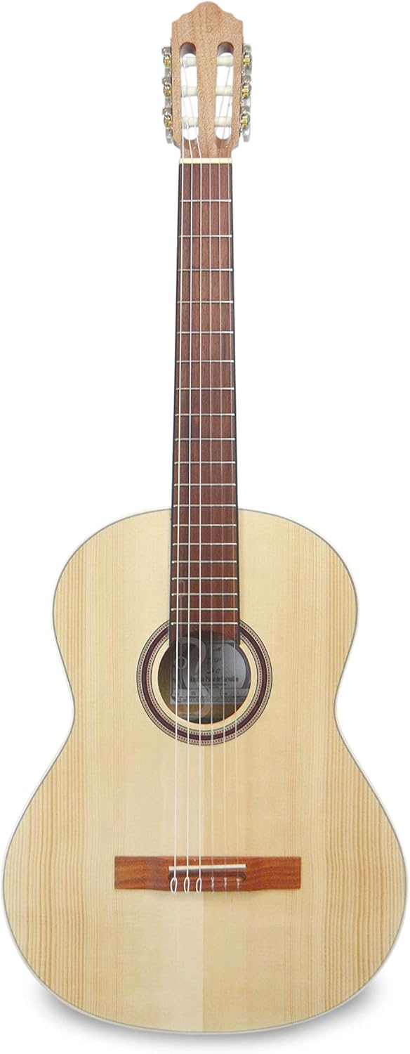 APC instruments 2S Classical Guitar – BigaMart