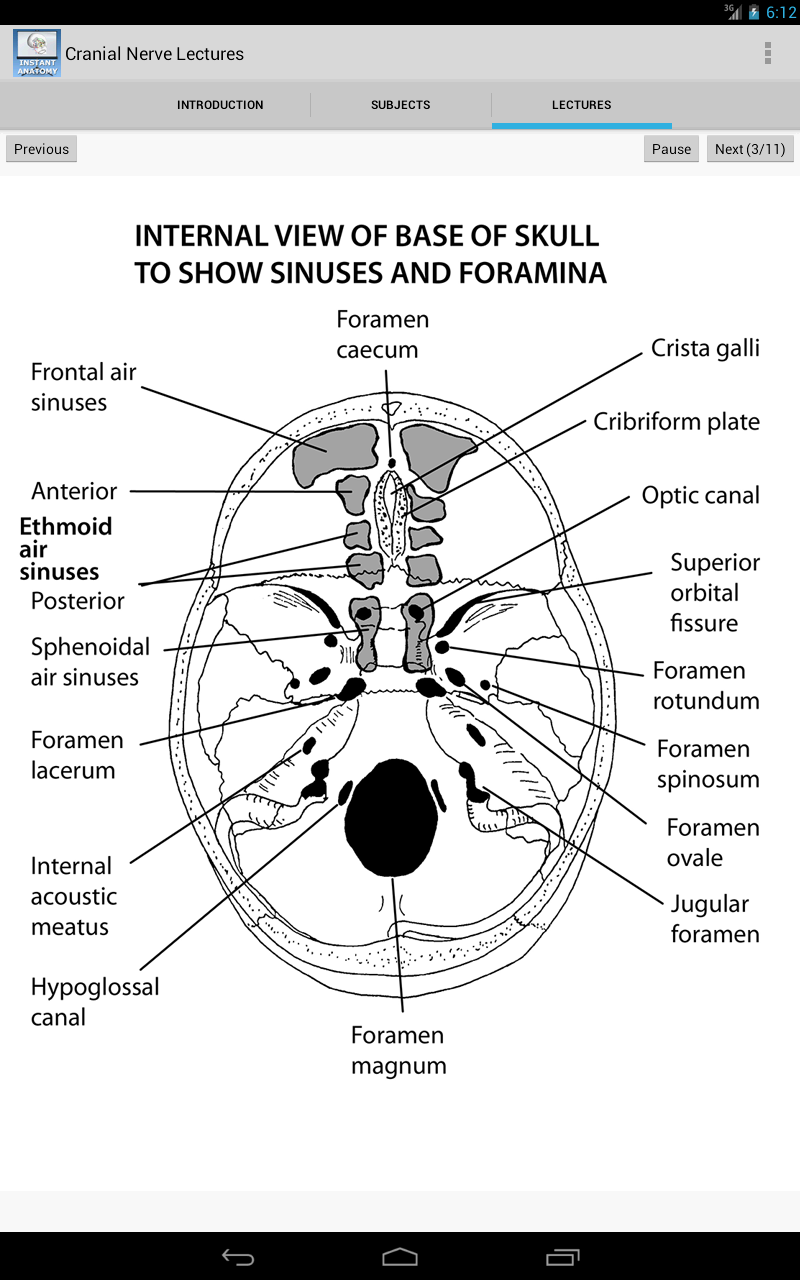 Anatomy Cranial Nerve Lectures:Amazon.it:Appstore for Android