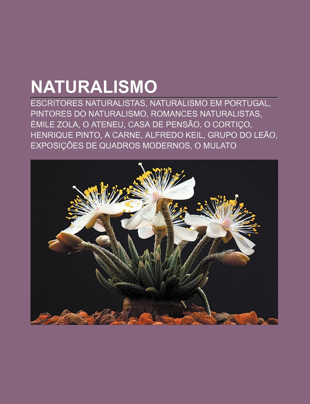 Naturalismo: Escritores Naturalistas, Naturalismo Em Portugal, Pintores ...