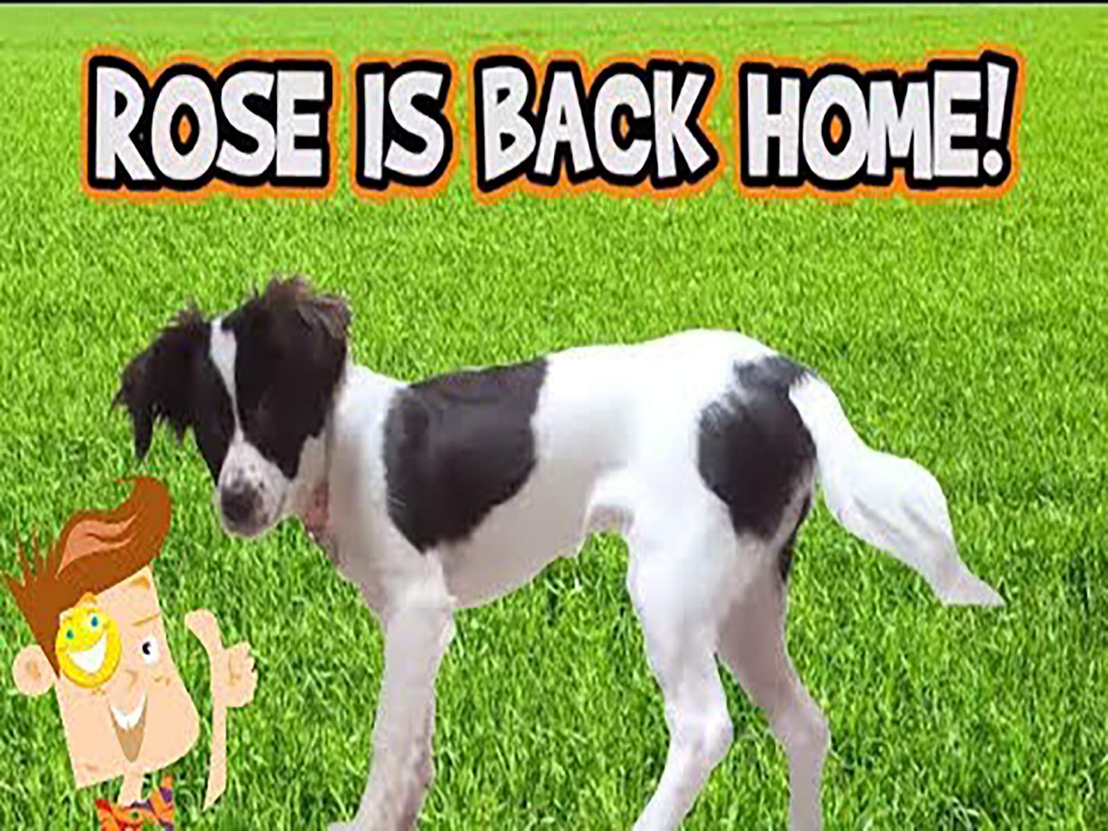 Amazon.com: Watch FUNnel Vision: Vlogs | Prime Video