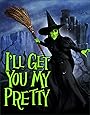Amazon.com: Desperate Enterprises The Wizard of Oz - I'll Get You My ...