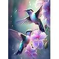 Amazon.com: Hummingbird Diamond Art Kits for Adults, Birds Round Full ...
