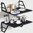 Amazon.com: Tectocker-DOU Set of 2 Deep Floating Shelves; Wall Mounted Book Shelf for Living ...