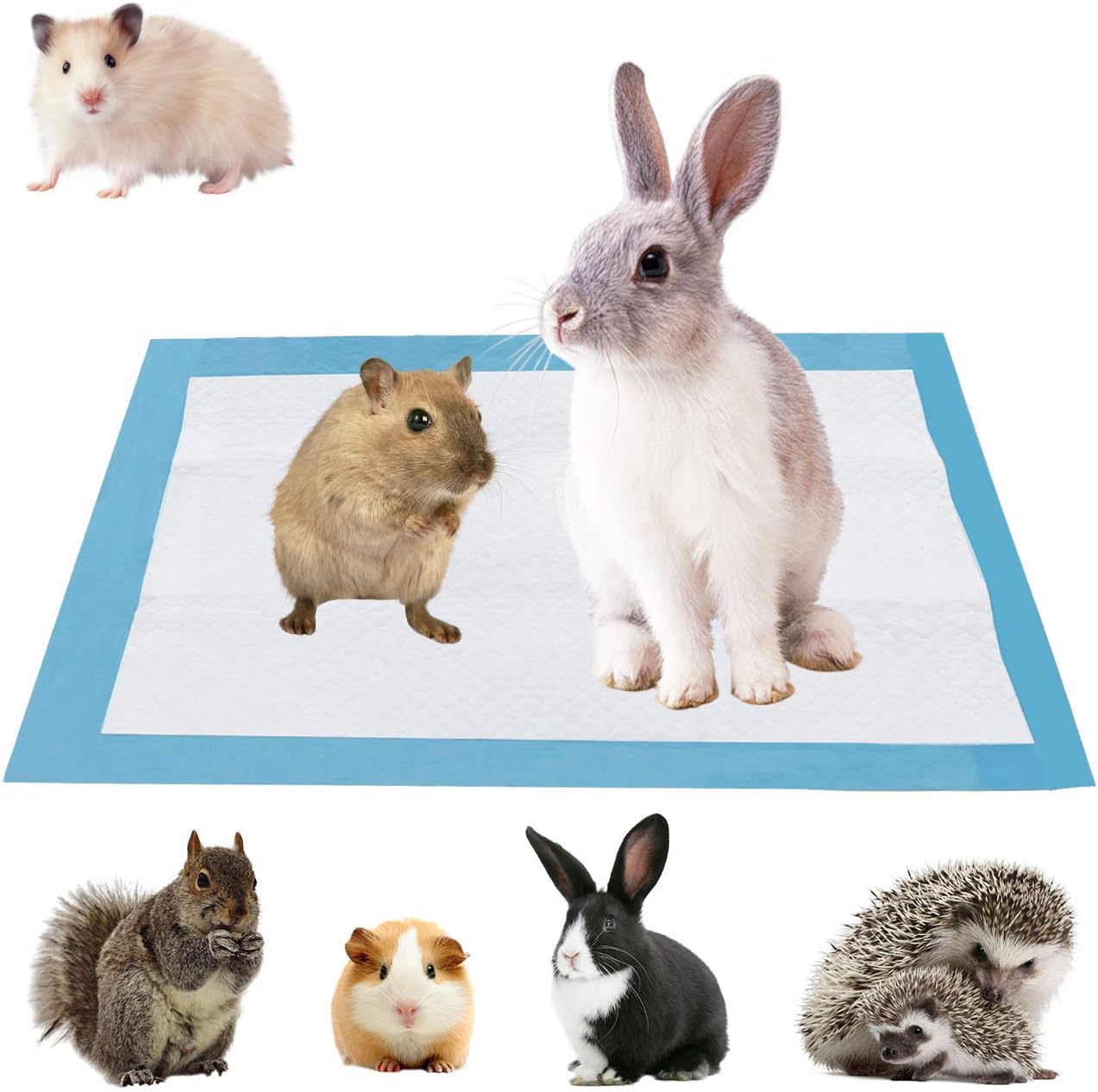 GABraden Super Absorbent disposable cage liner, 30 Count,disposable ...