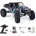 Amazon.com: Capo 1/8 RC Crawler Car Model for U4 Queen CD1582X RC ...