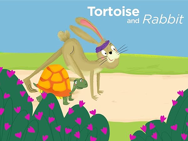 Watch Tortoise and Rabbit | Prime Video