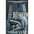 Amazon.com: The Between: 9780060927264: Due, Tananarive: Books