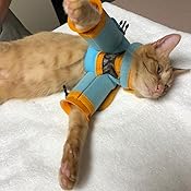 Pet Supplies : Cat Restraint, Cat Grooming Restraint, Cat Bathing ...