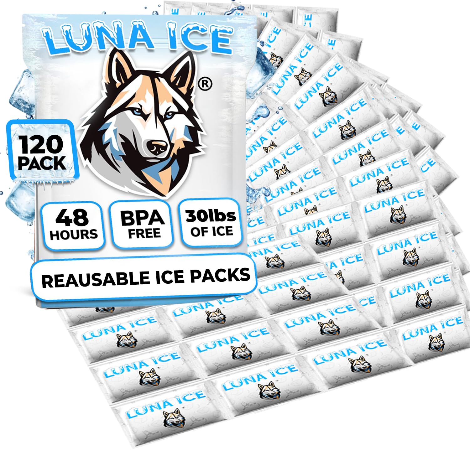 Dry Ice Packs for Shipping - Long Lasting ice Packs - 24+ Hour Freeze ...