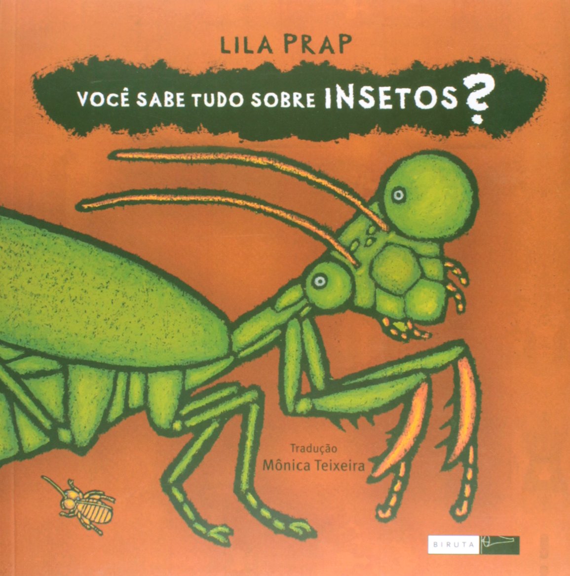 Você sabe tudo sobre insetos? PDF Lila Prap