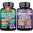 Amazon.com: Zoyava Sea Moss 16-in-1 Supplement and Resveratrol 14-in-1 ...