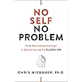 No Self, No Problem: How Neuropsychology Is Catching Up to Buddhism ...