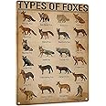 Amazon.com: HYBLOM Vintage Types Of Foxes Metal Tin Sign - Educational ...