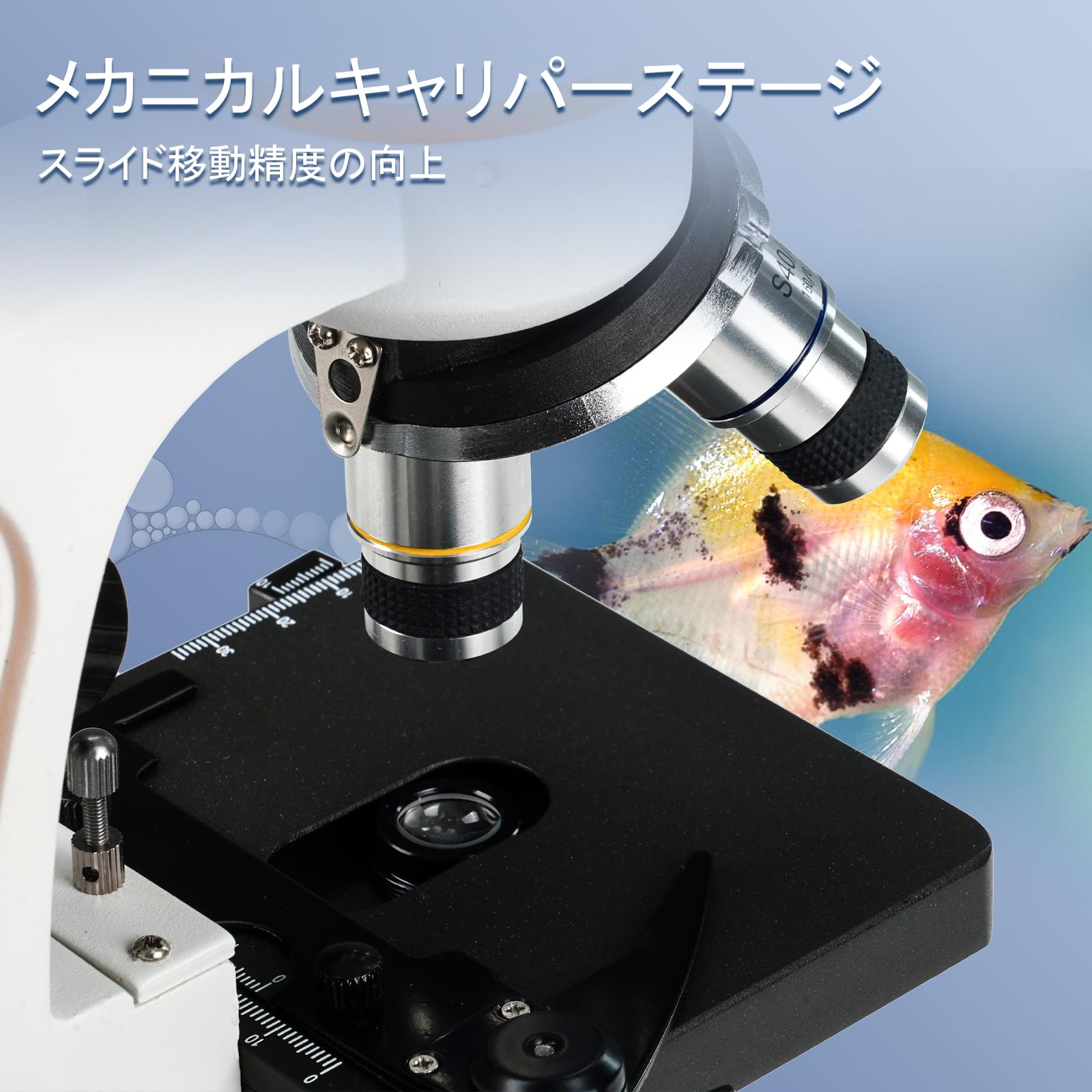Mua SVBONY SM202 Microscope, Biological Microscope, Composite Monocular ...