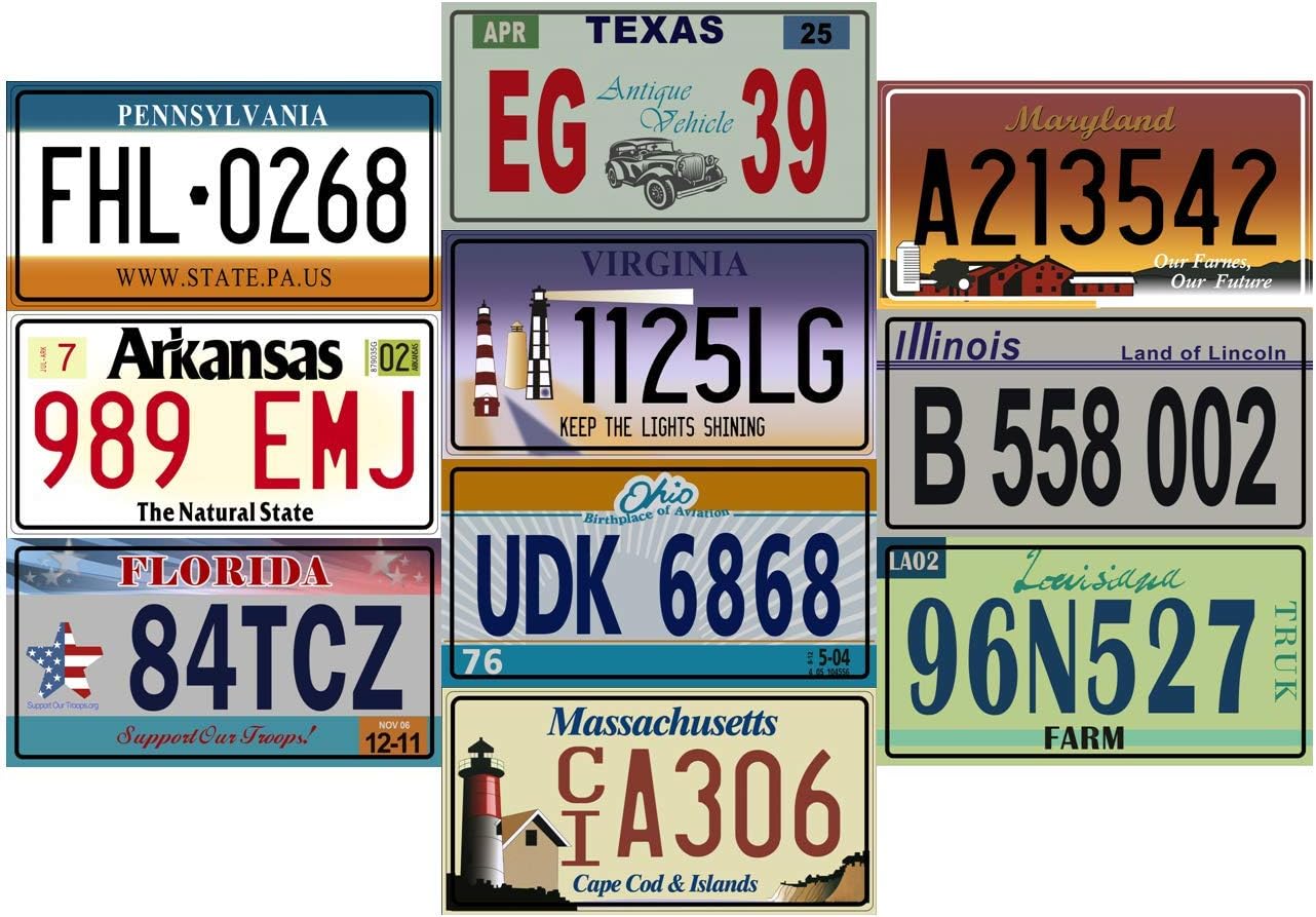 - Lot de 10 PLAQUES D' IMMATRICULATION de Voiture USA en métal ...