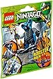 LEGO Ninjago 9571 - Fangdam: Amazon.de: Spielzeug