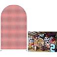 Amazon.com : Aerdce Red-and-White-Checkered Arch Backdrop Cover Kids ...