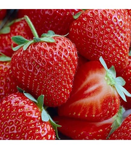 Reseña De Jewel Strawberry