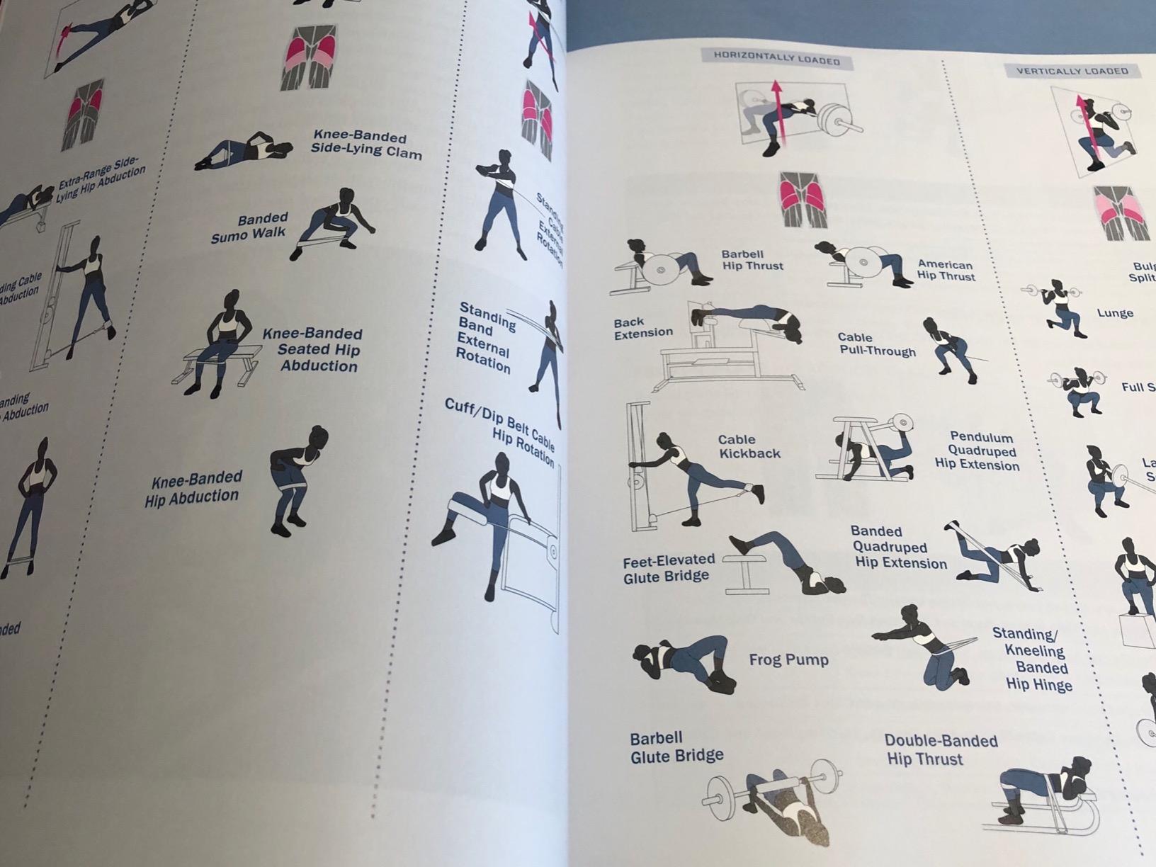 $10/mo - Finance Glute Lab: The Art and Science of Strength and ...