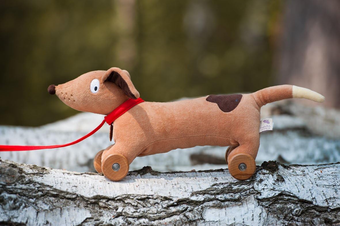 Ragtales Wooster Pull Along Dog – BigaMart