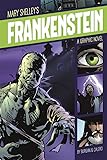 Frankenstein: The Graphic Novel (American English, Original Text ...