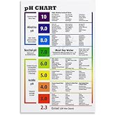 Amazon.com: Alkaline Diet Balance Sheet PH Food Chart Poster PH Chart ...