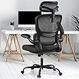 Razzor Ergonomic Office Chair, High Back Mesh Desk Chair with Lumbar ...