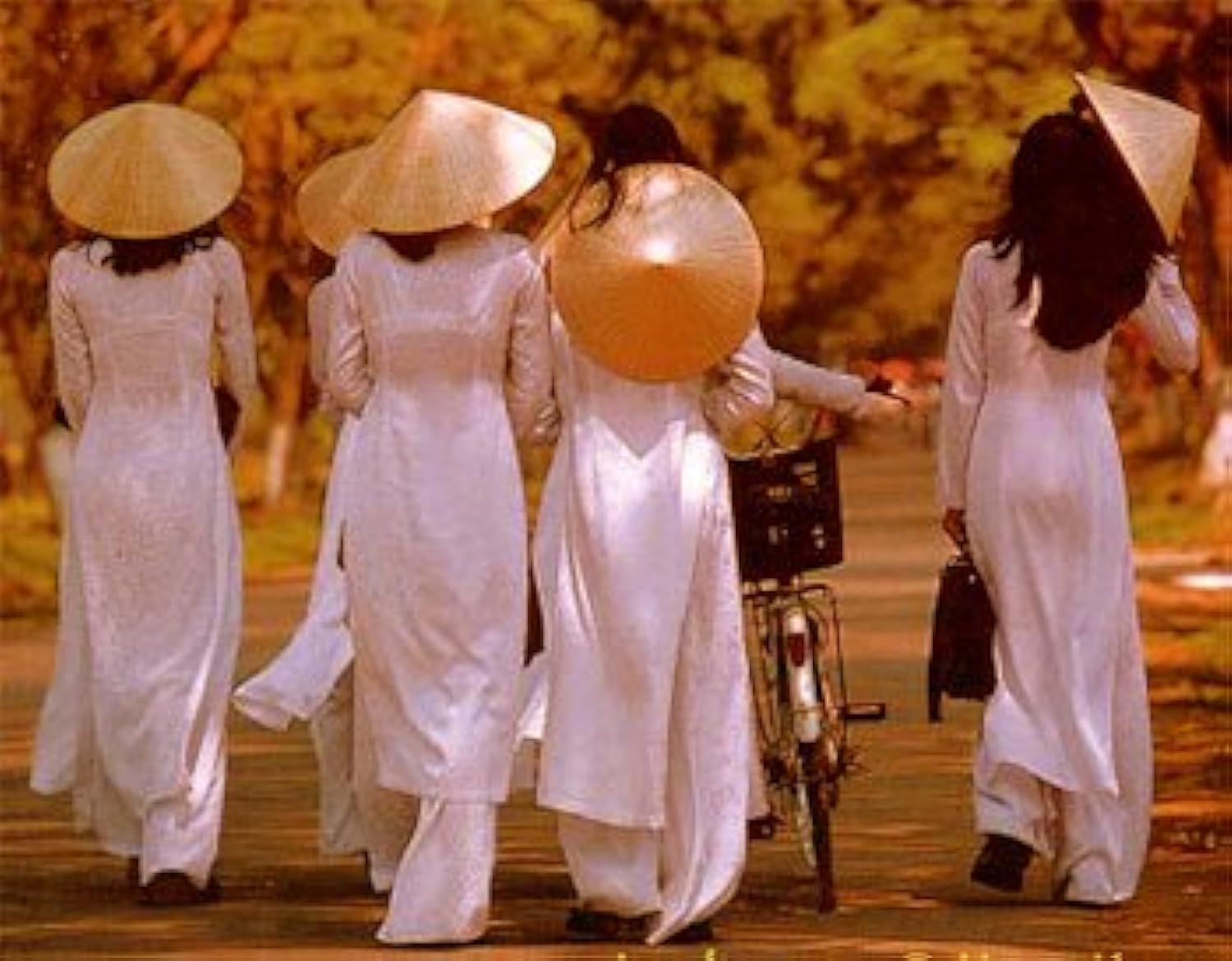 Mua Vietnamese Ao Dai - Sewing Pattern trên Amazon Mỹ chính hãng 2024 ...